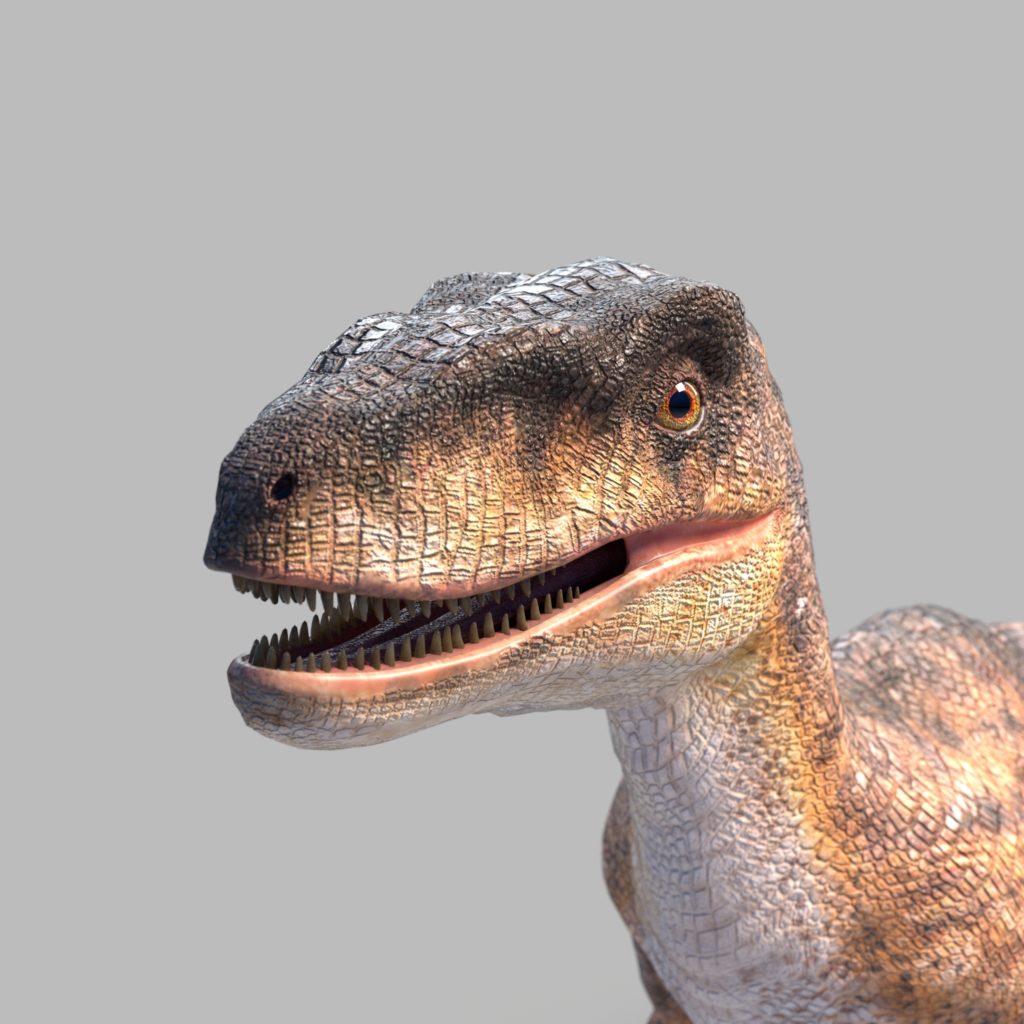 raptor – RIG-IT