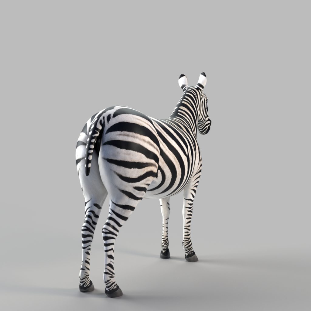 zebra – RIG-IT