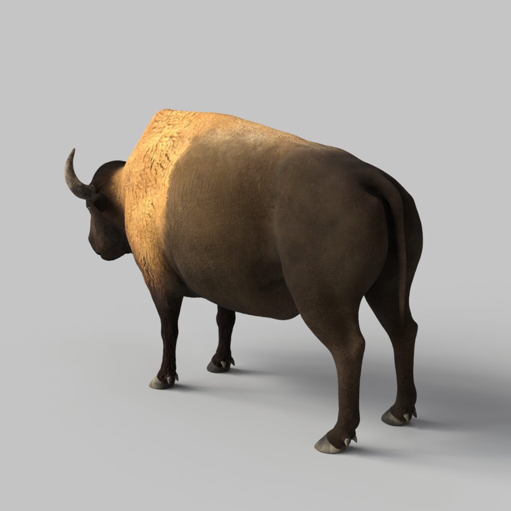 bison – RIG-IT
